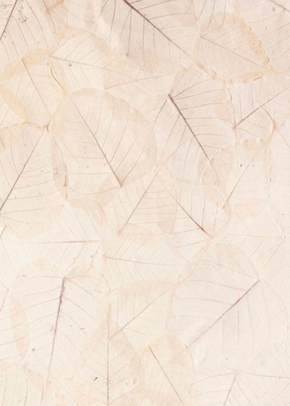 Pearlised Filigree Ivory | Liberties Papers