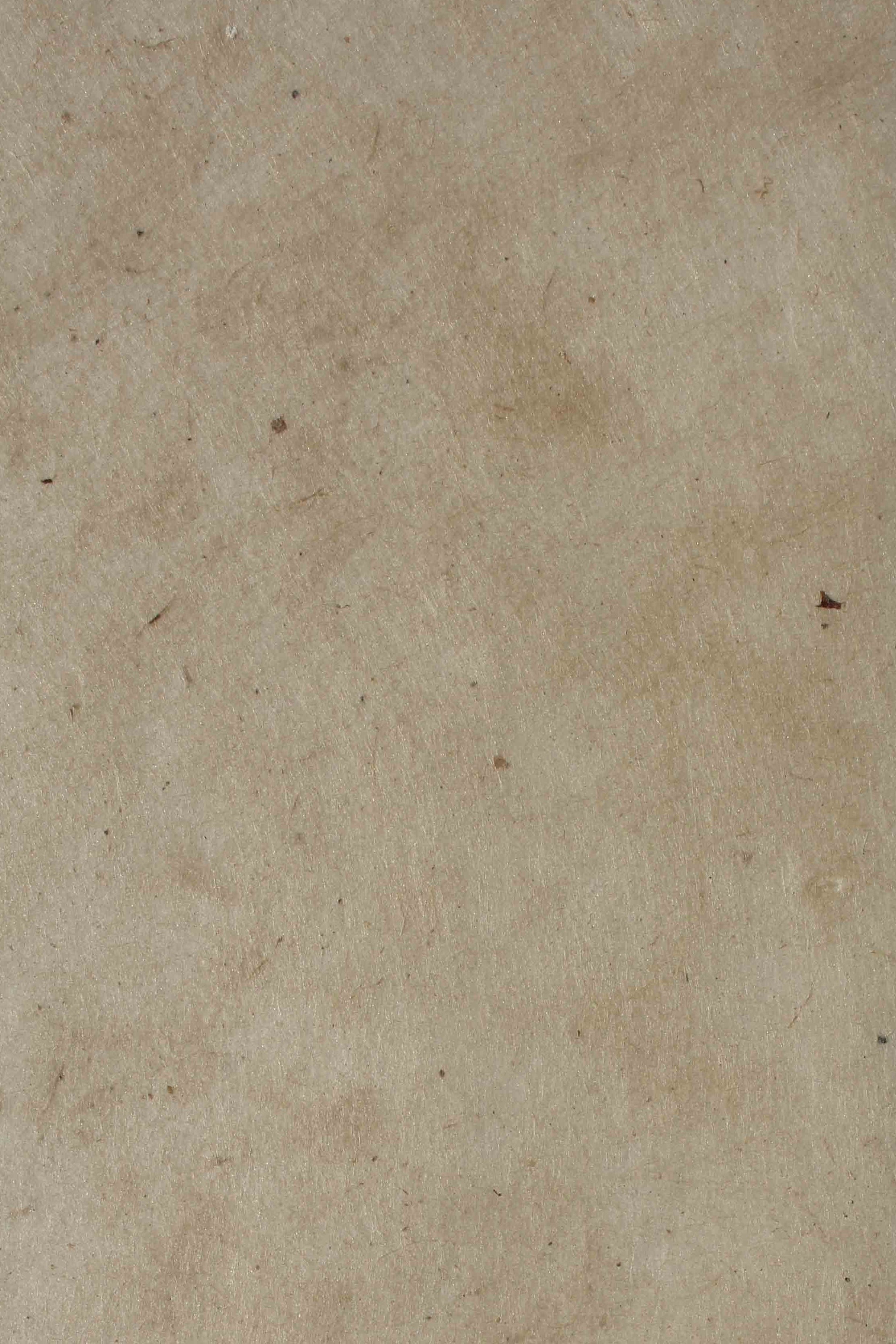 Pearlised Filigree Ivory | Liberties Papers